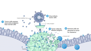 Approach. Precision is power. | Codagenix