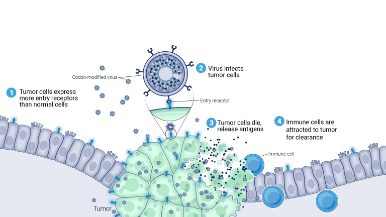 Approach. Precision is power. | Codagenix