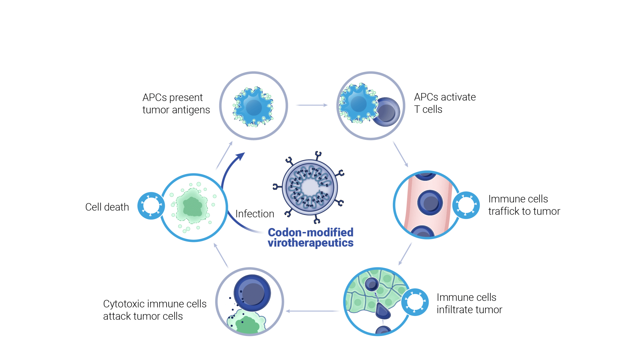 Approach. Precision is power. | Codagenix